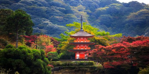 All You Need To Know About Japan - The Land Of Rising Sun